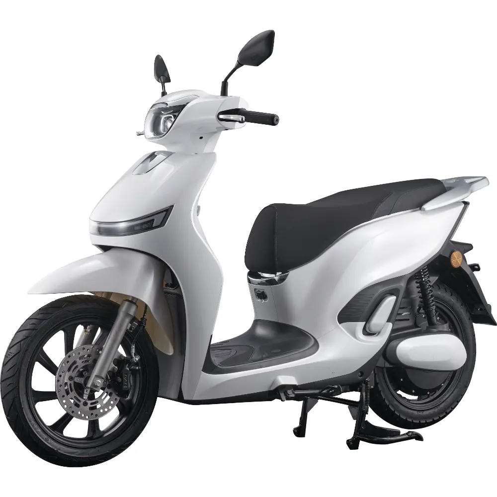 Electric Scooter EX007